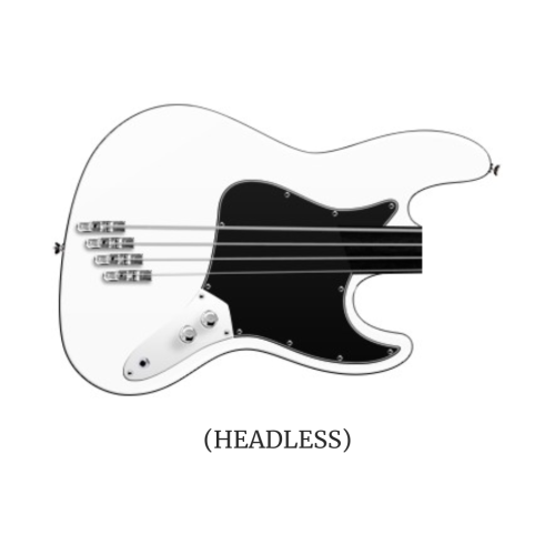 Custom Bass Bodies